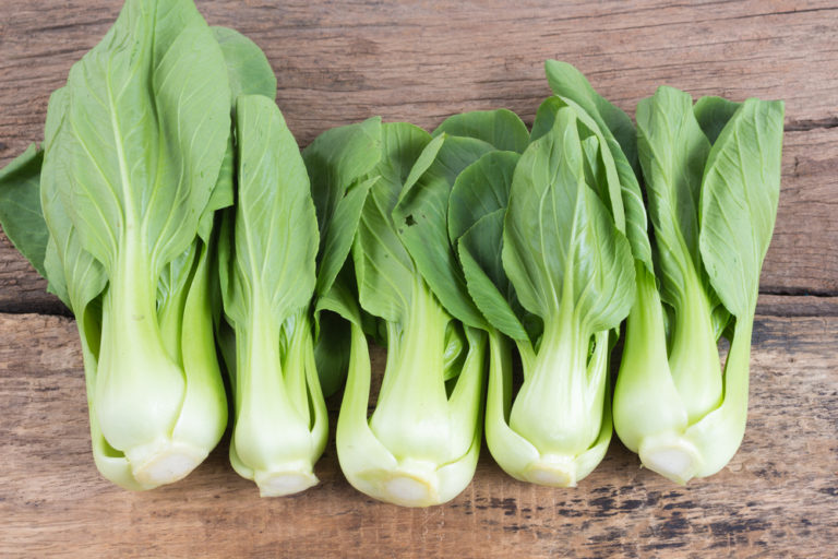 Pak choy: grow your own at home – small green things